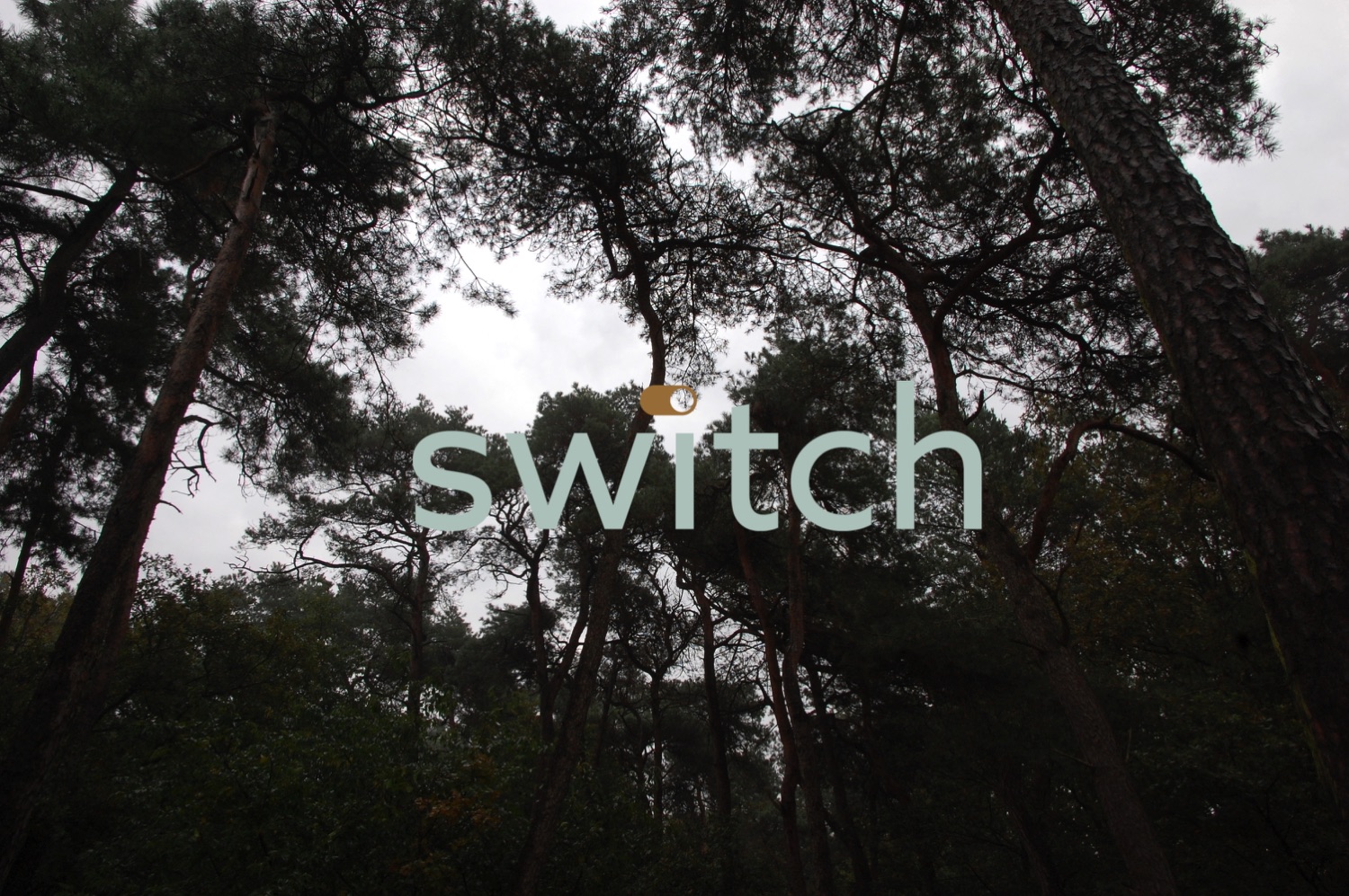 switch weekend | 23, 24 en 25 februari 2024 | Ben jij klaar om te switchen?